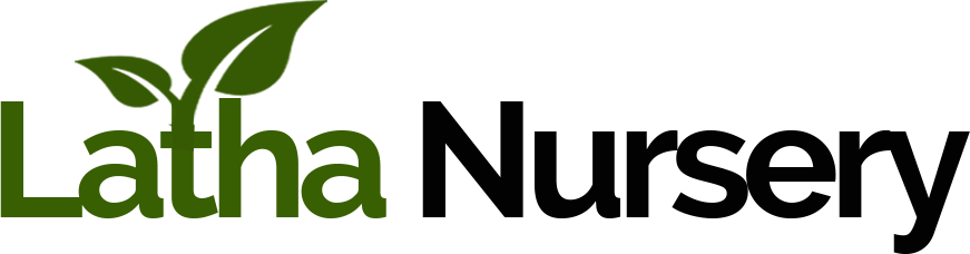 Taiwan Pink Guava Plant Life cycle — Latha Nursery